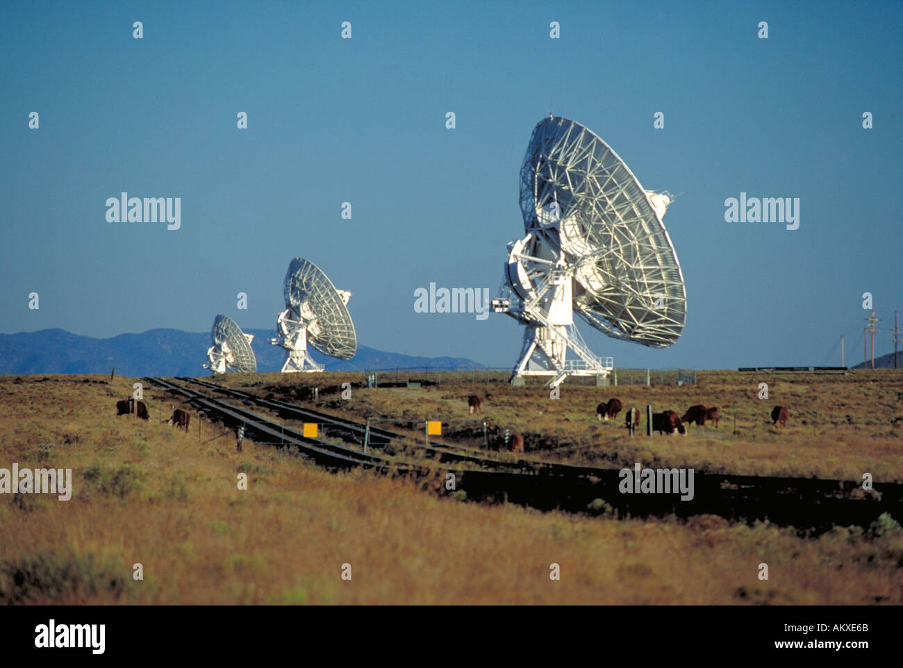 The very large array hi-res stock photography and images - Alamy