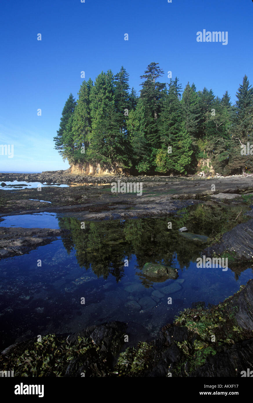 Tidal pool Pacific Rim National Park Stock Photo - Alamy