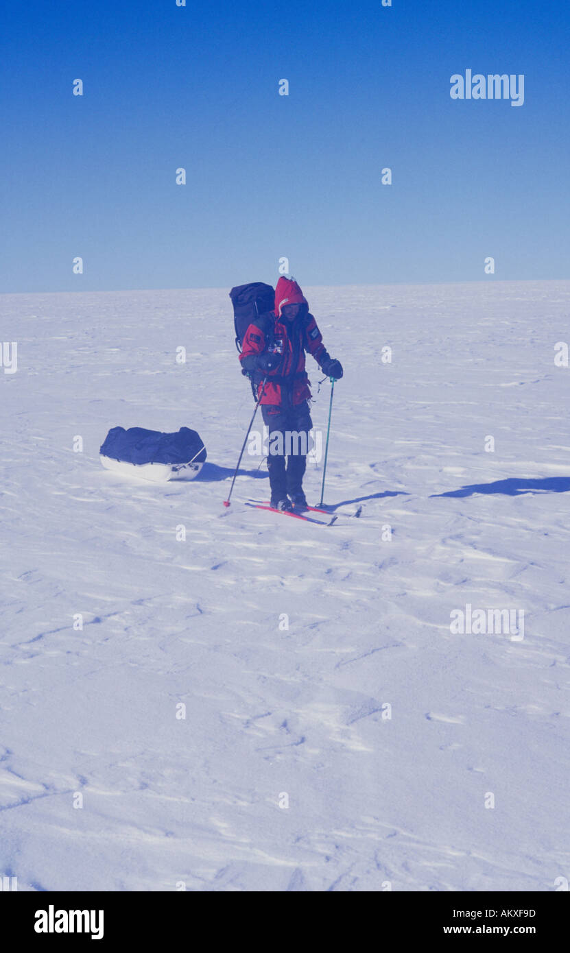 Man pulling sledge on Greenland Stock Photo - Alamy