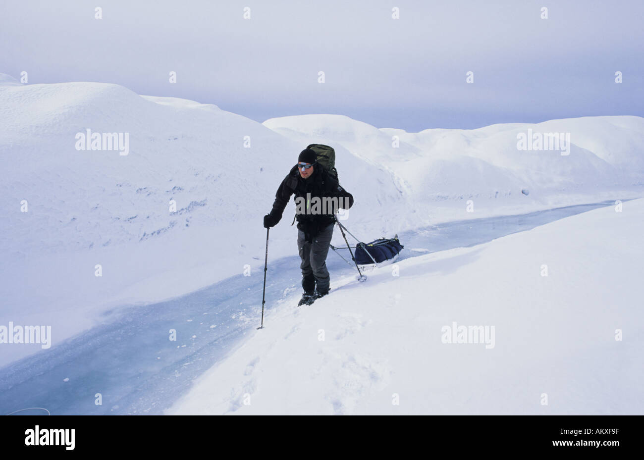 Man pulling sledge in Greenland MODEL RELEASE Stock Photo - Alamy