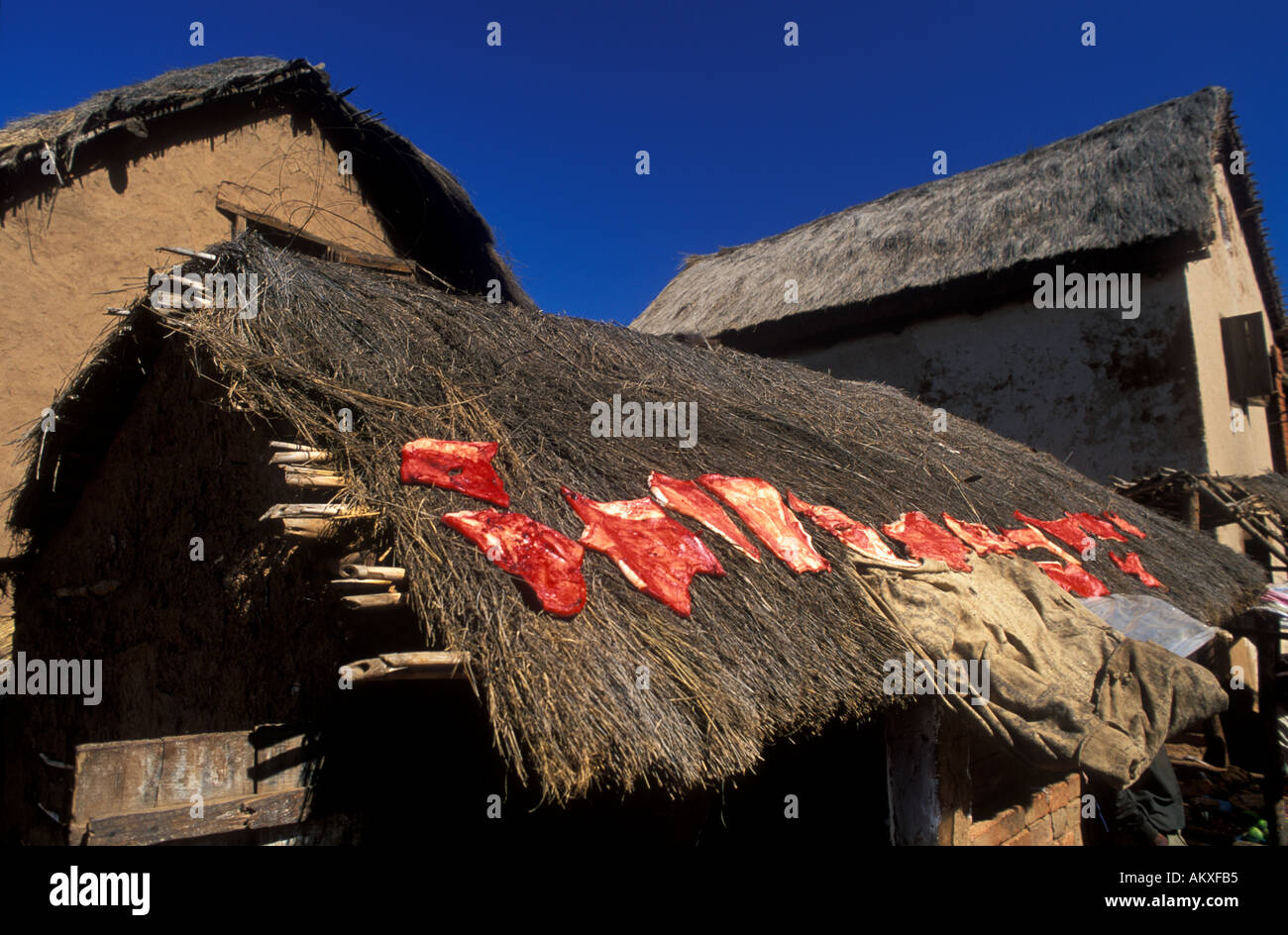 MADAGASCAR Beef drying on house thatched roof Fianarantsoa Stock Photo ...