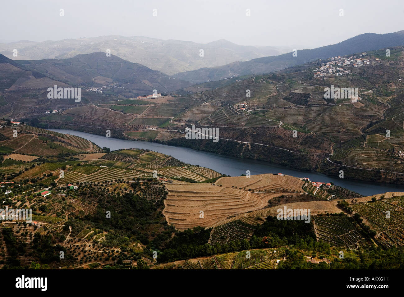 Aussicht weinberge douro hi-res stock photography and images - Alamy