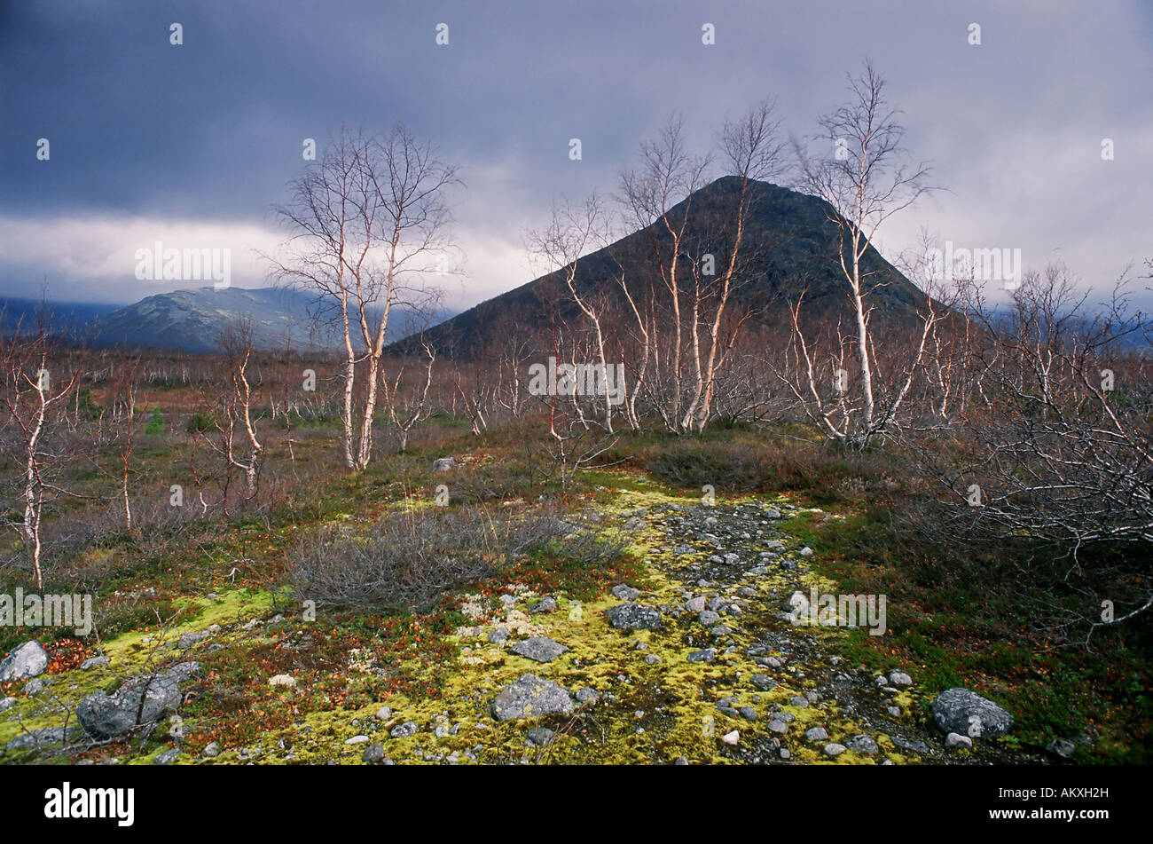 Khibiny mountains hi-res stock photography and images - Alamy