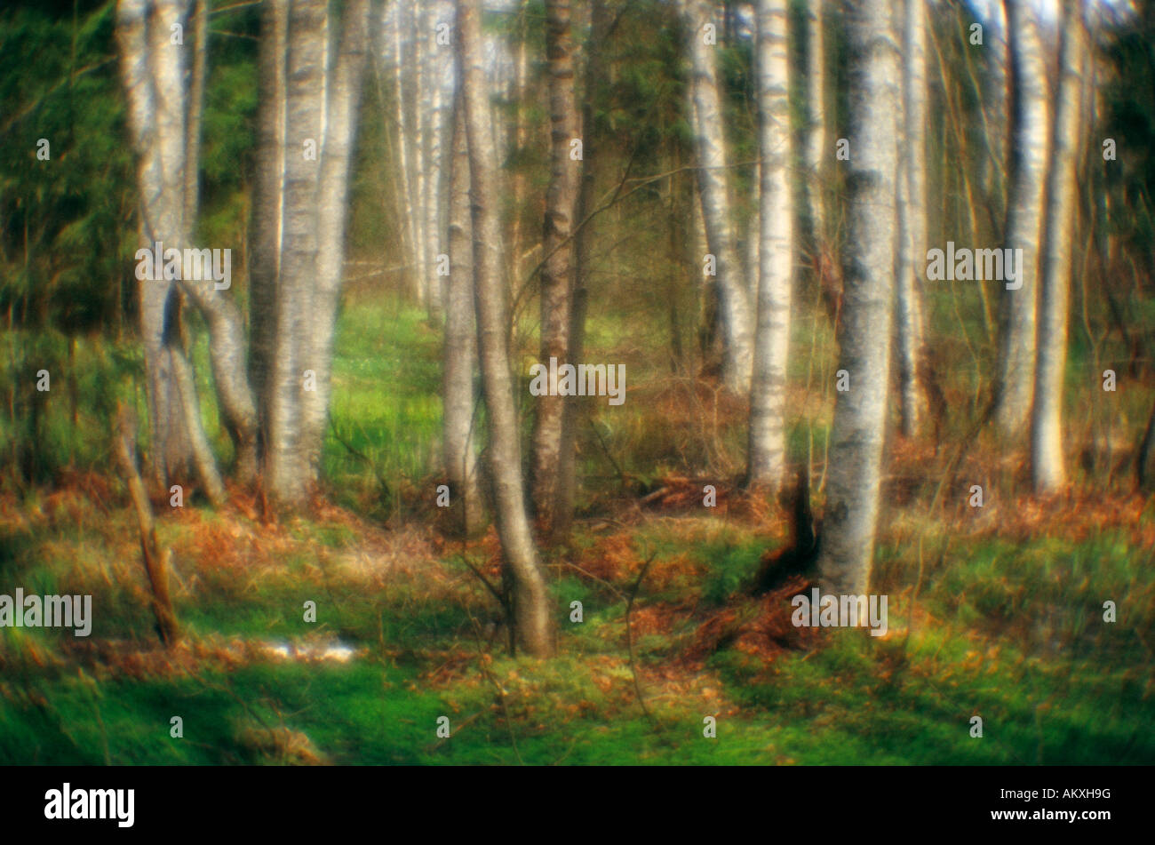 Monokle hi-res stock photography and images - Alamy