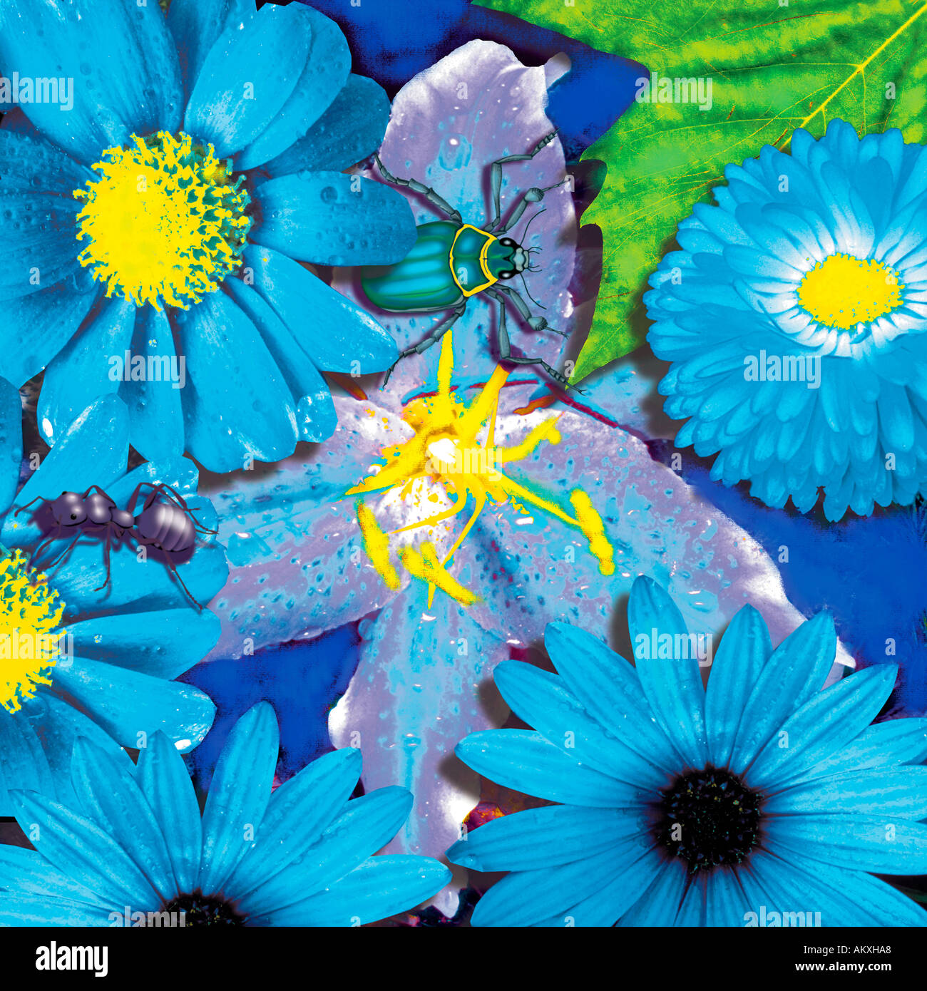 illustration blue flowers ant abstract Stock Photo - Alamy