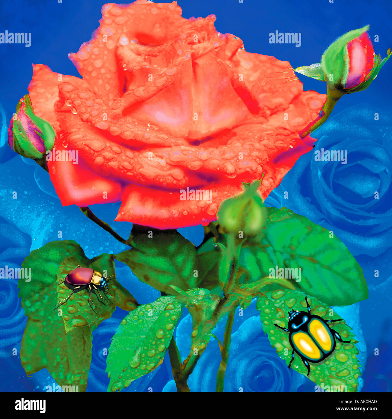 illustration red flowers ant abstract roses Stock Photo - Alamy