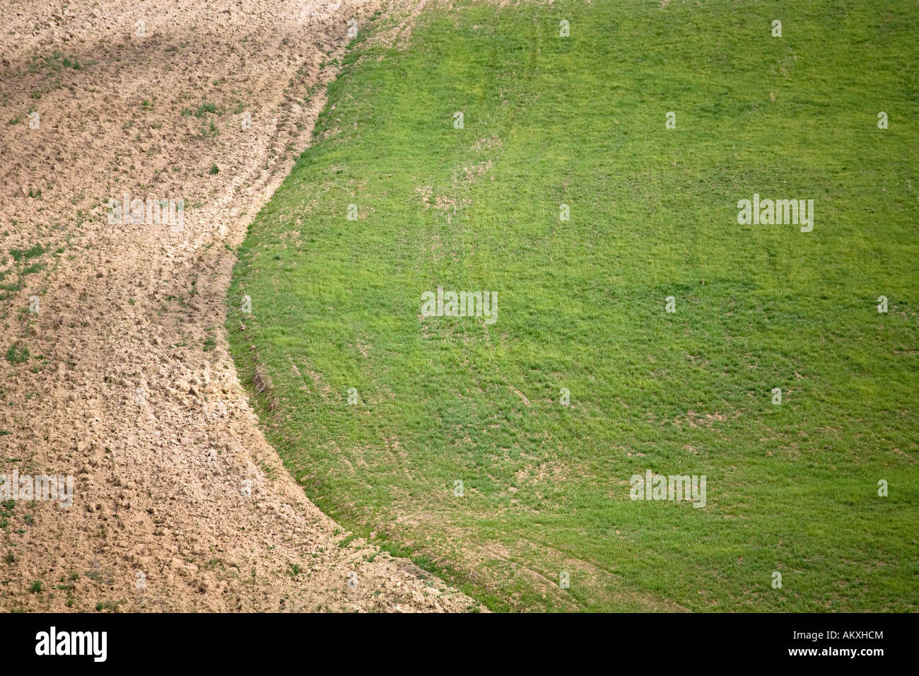Split field Crete Tuscany Italy Stock Photo - Alamy