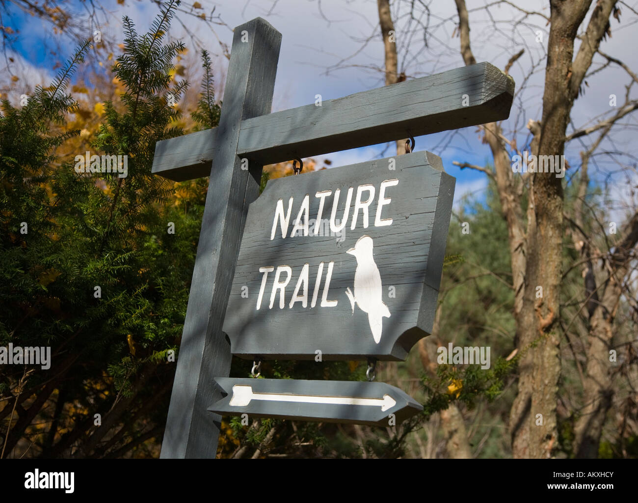 Sign showing a nature trail Stock Photo - Alamy