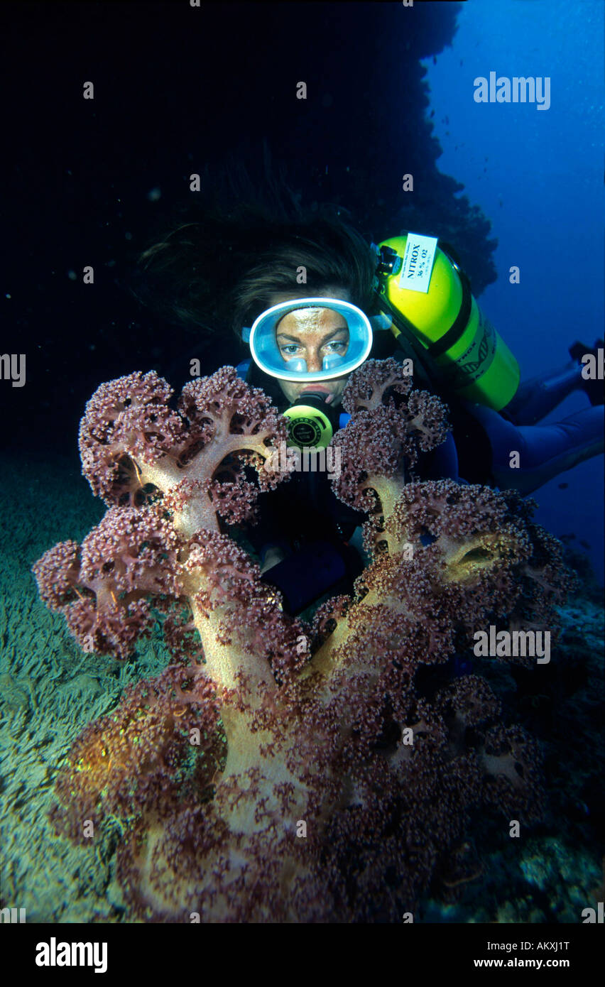 Diver's portraits behind a soft coral. The diver breaths a gas mixture ...