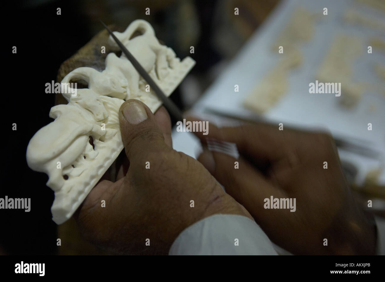 Camel bone hi-res stock photography and images - Alamy