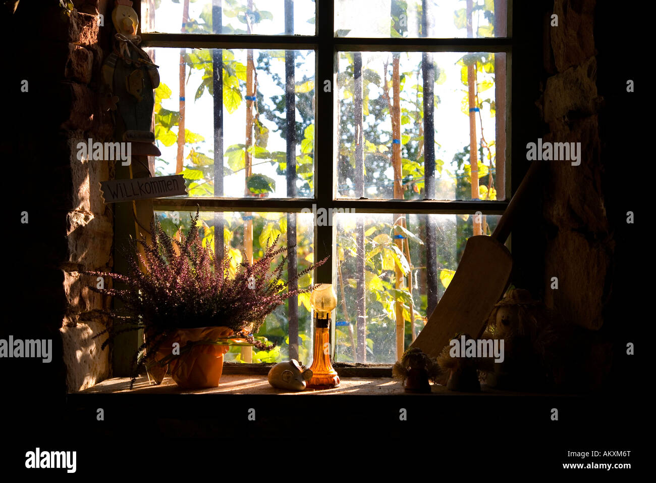 Window still life Stock Photo - Alamy