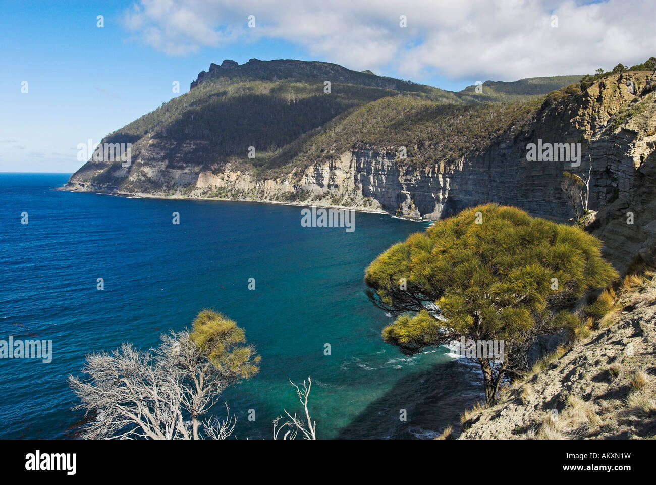 Maria island tasmania view hi-res stock photography and images - Alamy