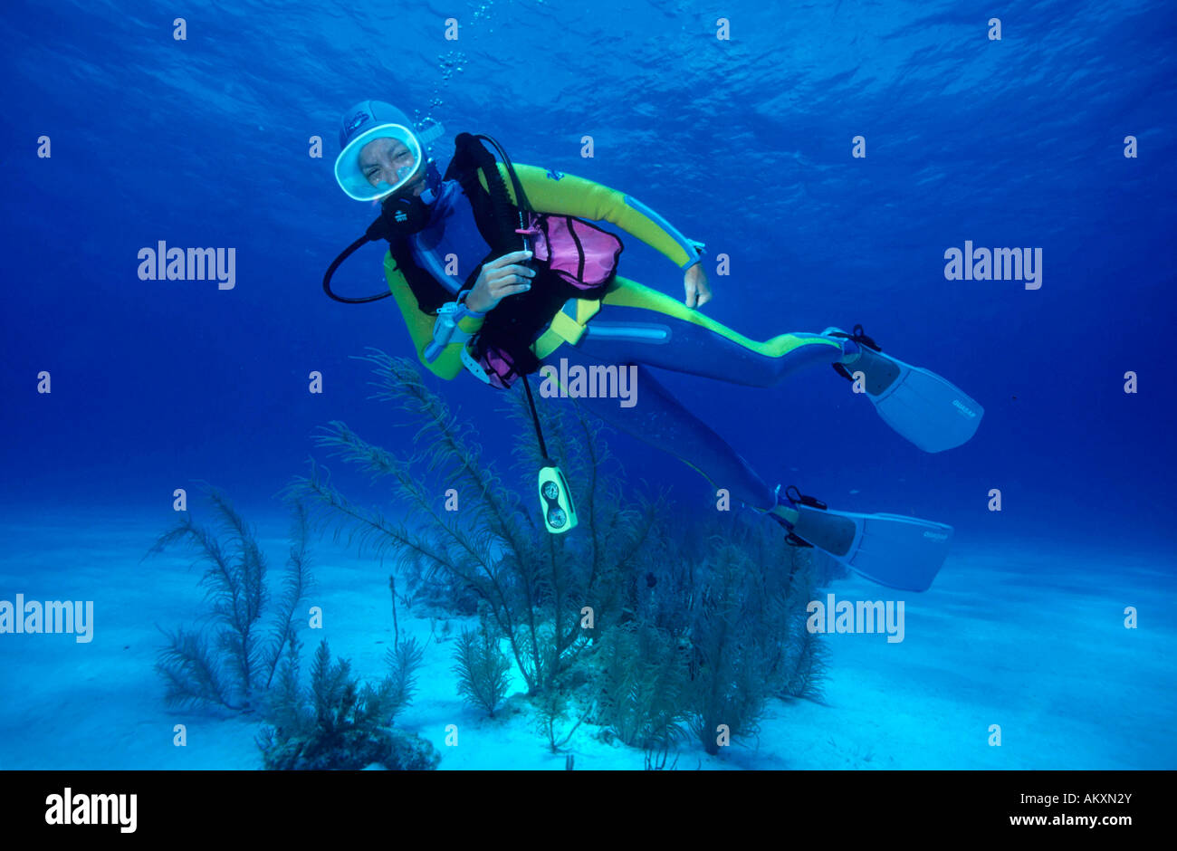 Underwater sign language " has a cramp ", diver points with the fist at ...