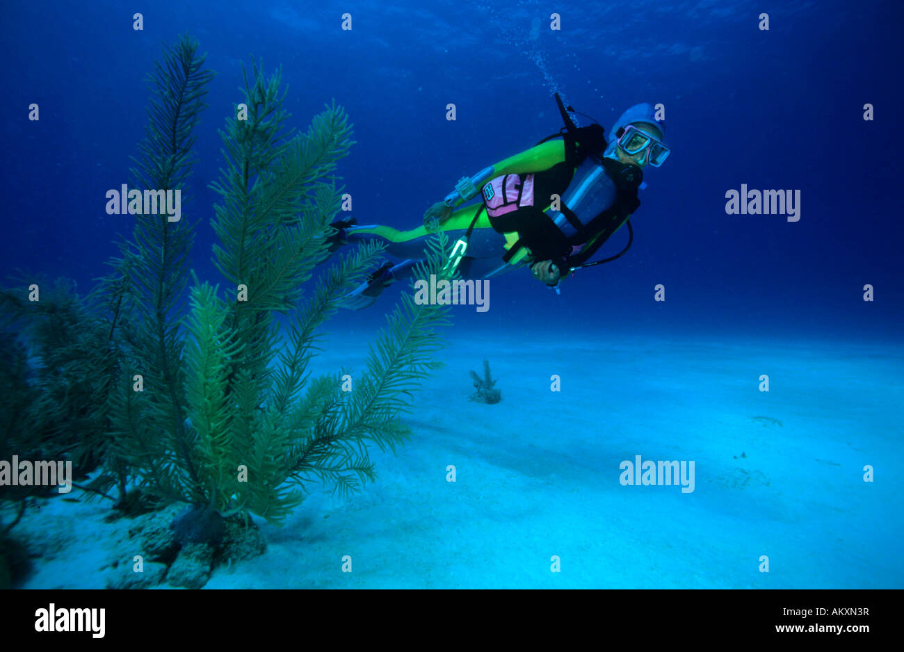 Exemplarily hi-res stock photography and images - Alamy