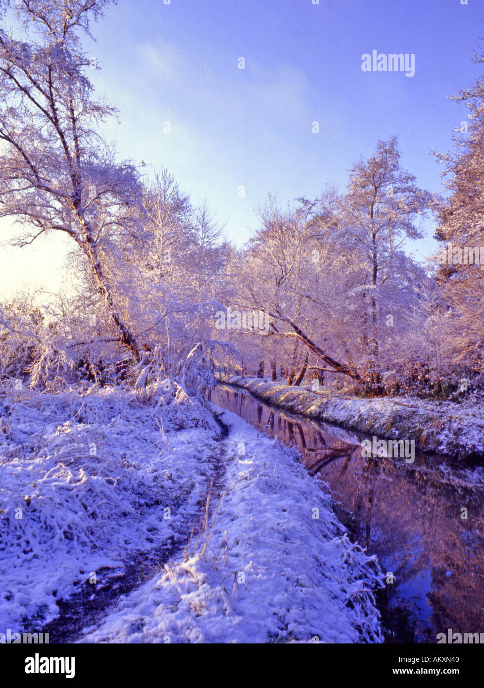 Fleet and hampshire hi-res stock photography and images - Alamy