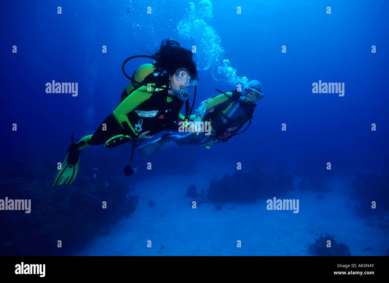 Tauch partner hi-res stock photography and images - Alamy