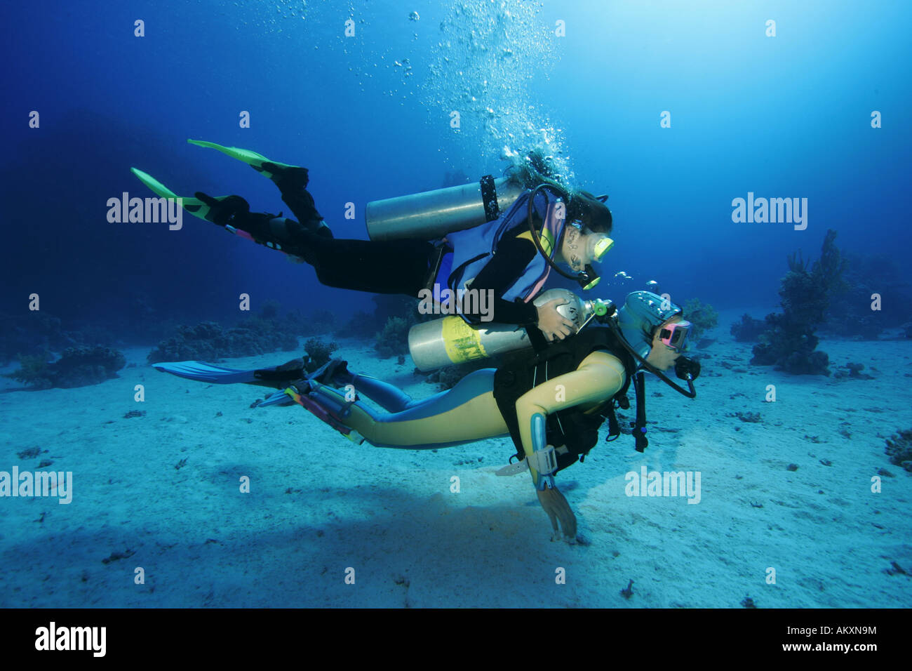 Mother an daughter are diving, the Red Sea, Egypt Stock Photo - Alamy