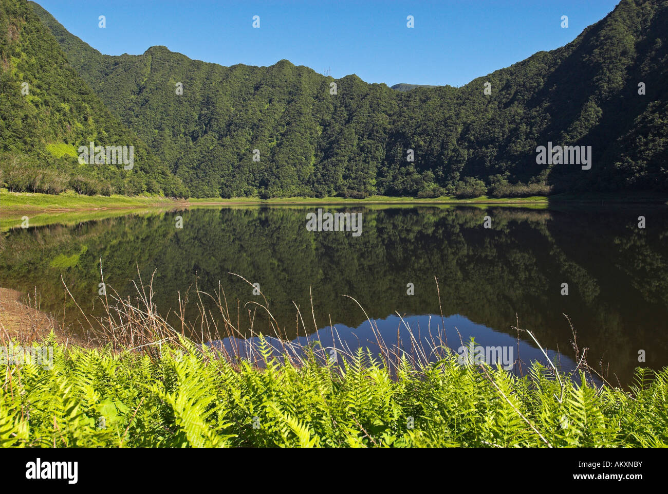 Grand etang lake hi-res stock photography and images - Alamy