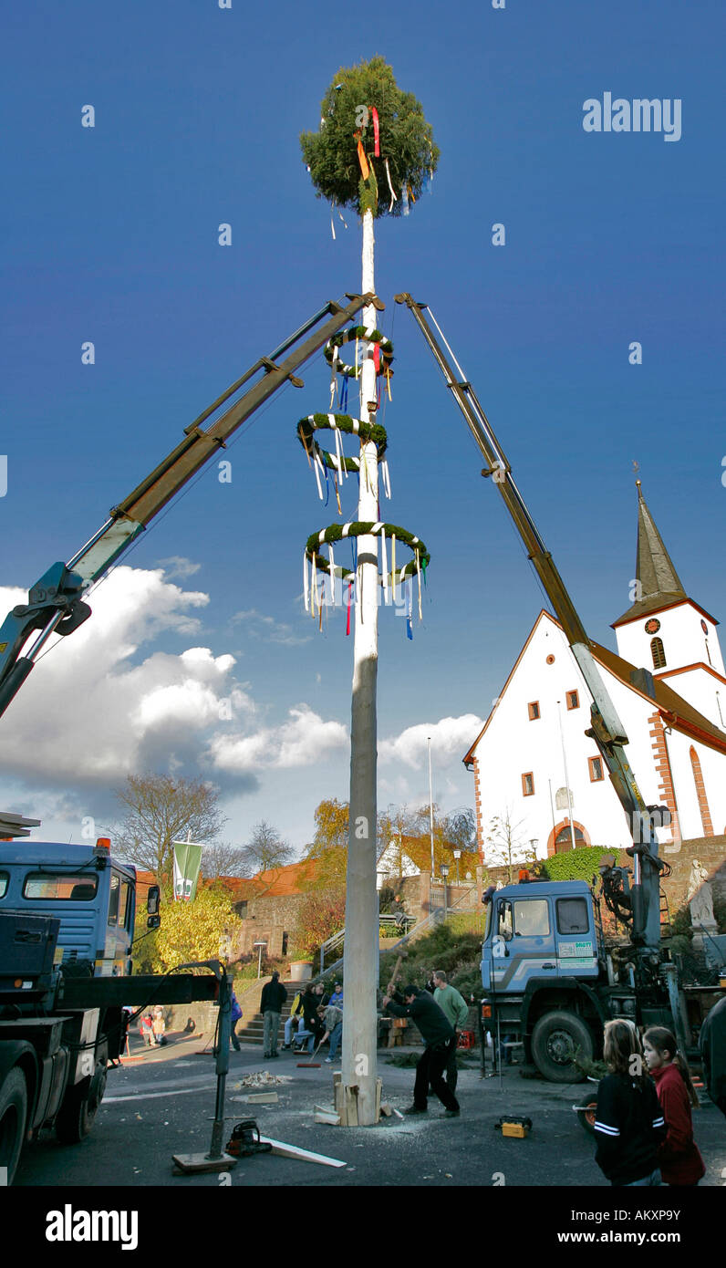 Traditional parish fair. Setting up the maypole, Hessia, Germany Stock ...