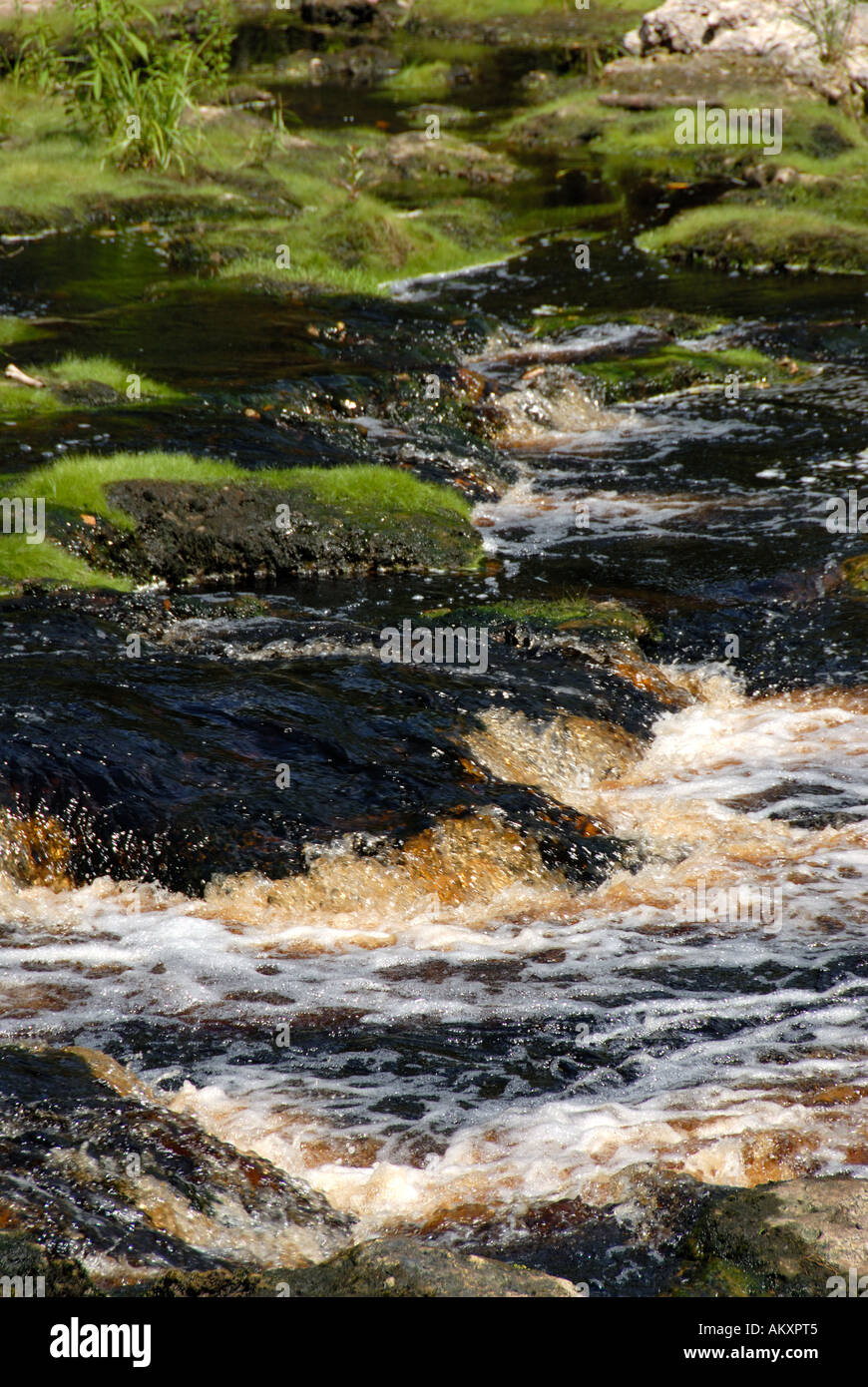 Florida Big Shoals State Park rapids low water exposed rocks boulders ...