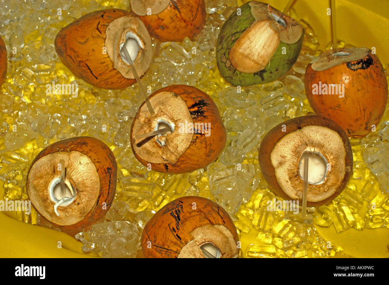 Tropics tropical islands rum drinks coconut shells Stock Photo - Alamy