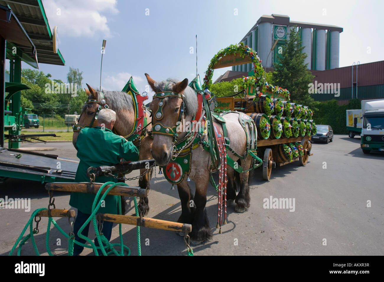 Brewery horse of the Licher brewery, Lich, Germany Stock Photo - Alamy