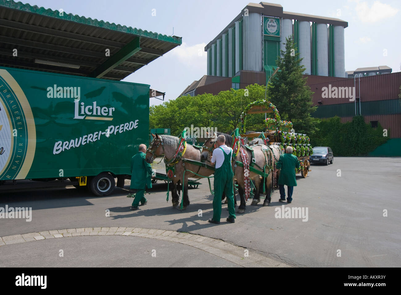 Brewery horse of the Licher brewery, Lich, Germany Stock Photo - Alamy