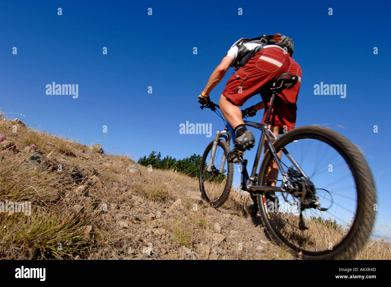 Biking in California Stock Photo - Alamy