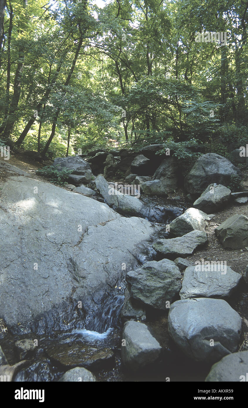 The ramble in Central Park New York USA Stock Photo - Alamy