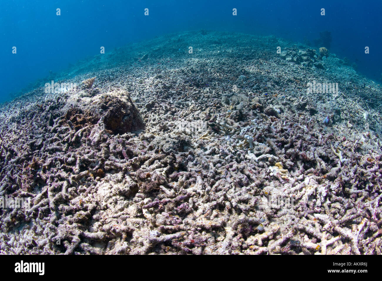 Destroyed storm hi-res stock photography and images - Alamy