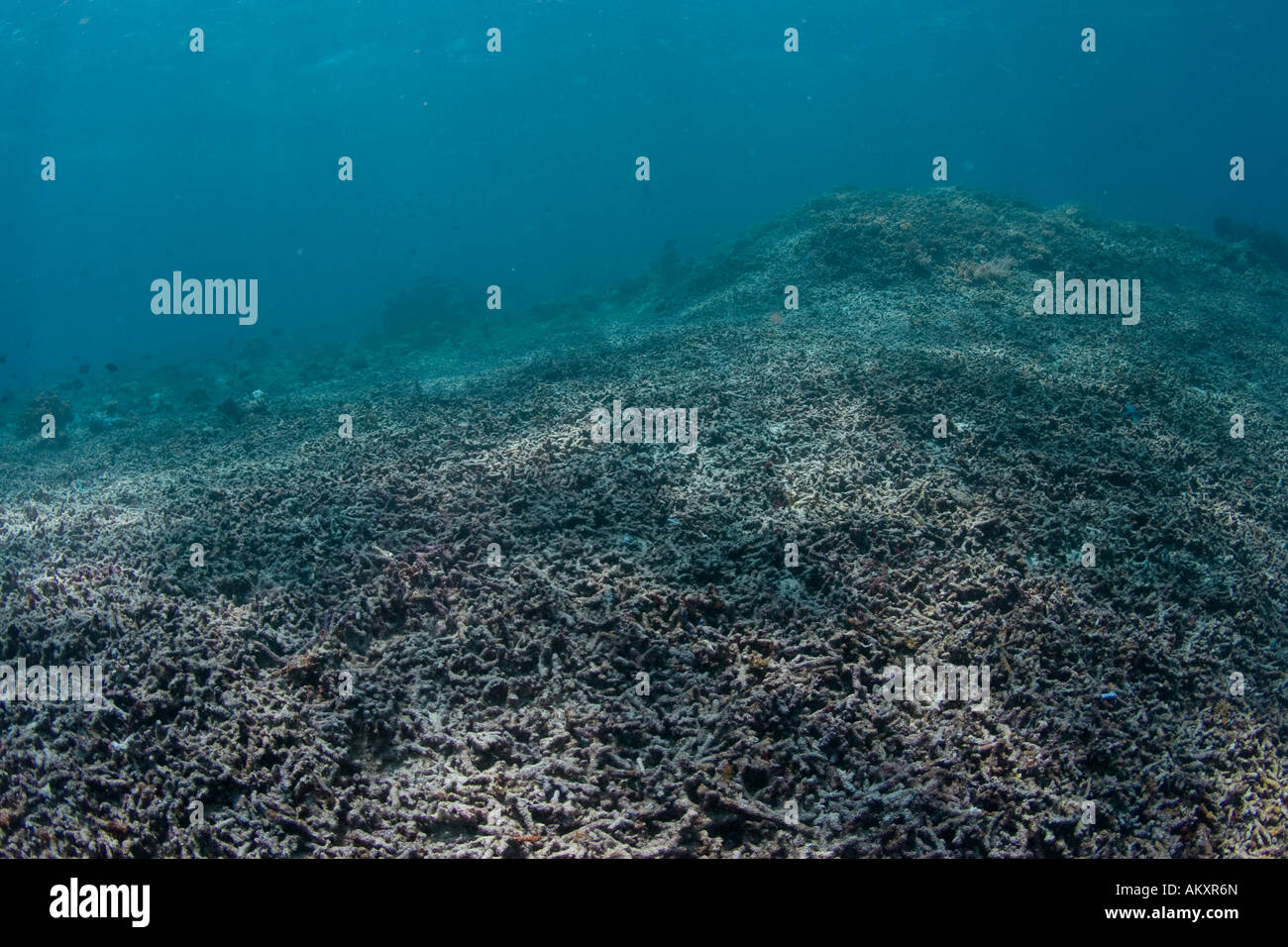 Destroyed storm hi-res stock photography and images - Alamy