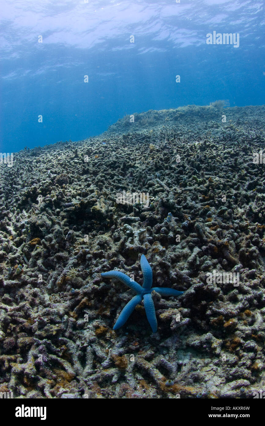 Destroyed storm hi-res stock photography and images - Alamy