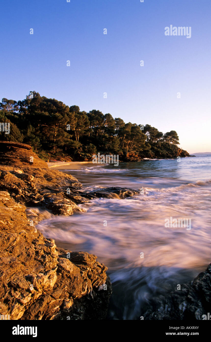 France, Var, Rayol Canadel sur Mer, Domaine du Rayol, Jardin des ...