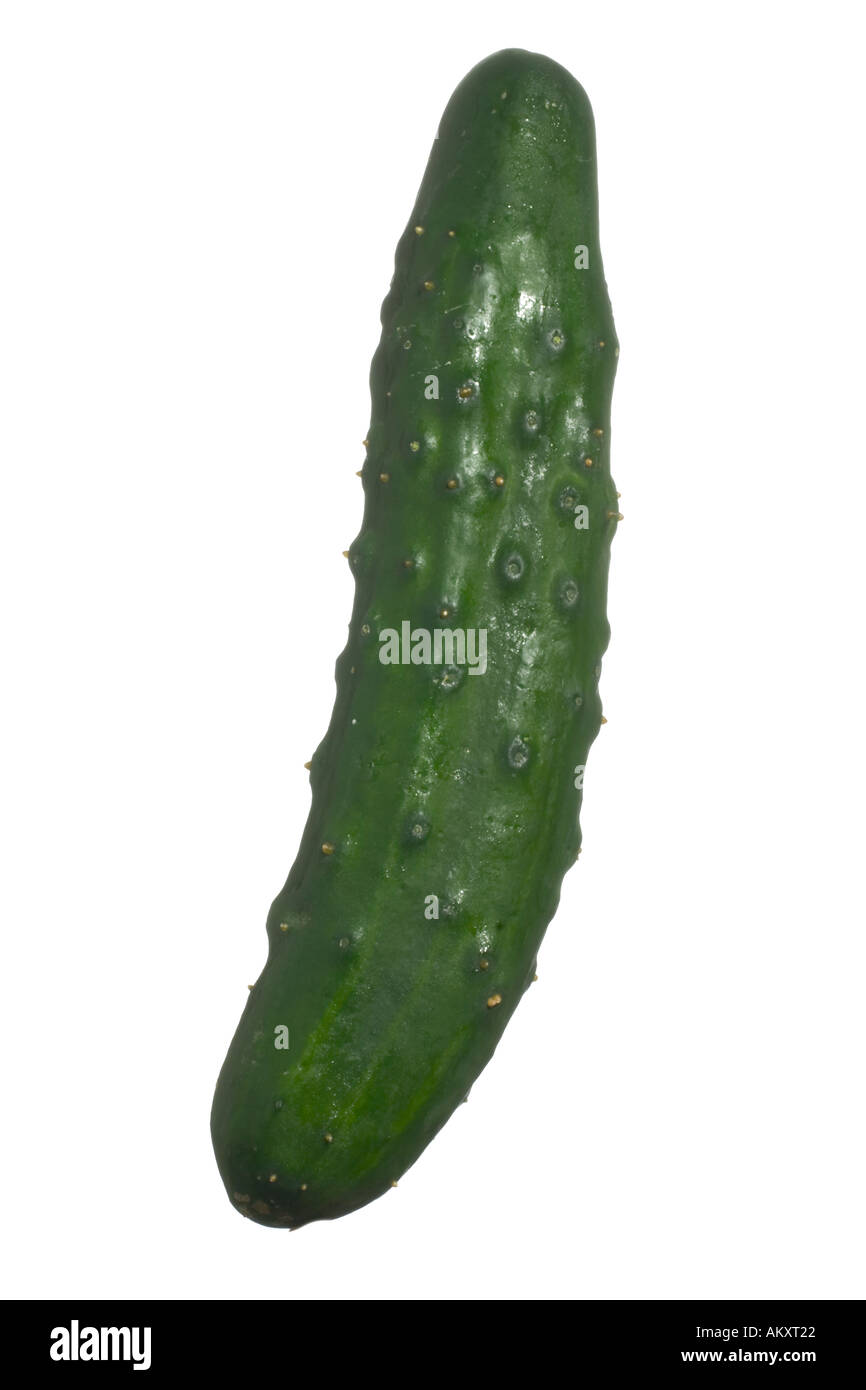 Cucumber. Vegetable cut out Surrey England August Stock Photo - Alamy
