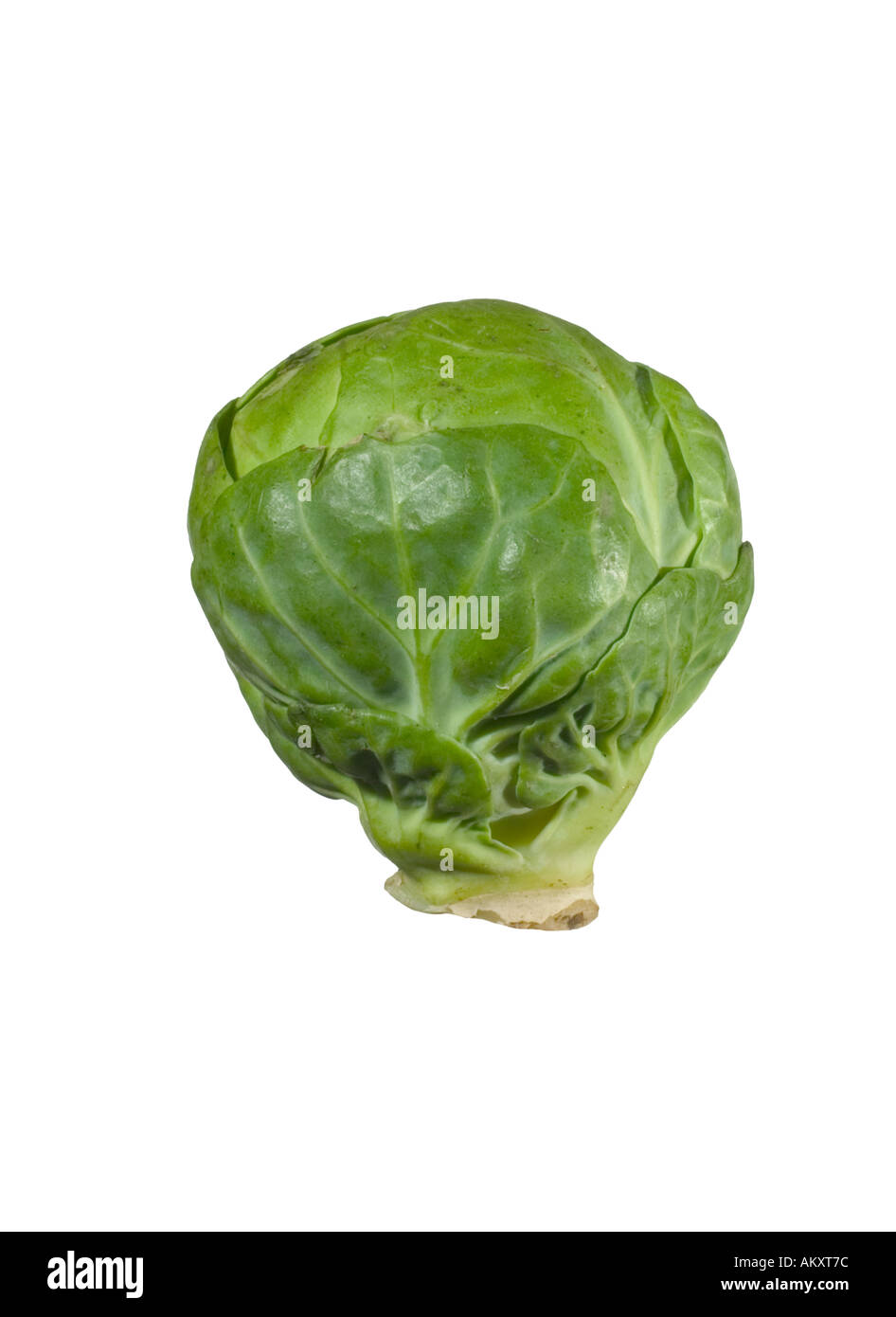 Brussels sprout england hi-res stock photography and images - Alamy