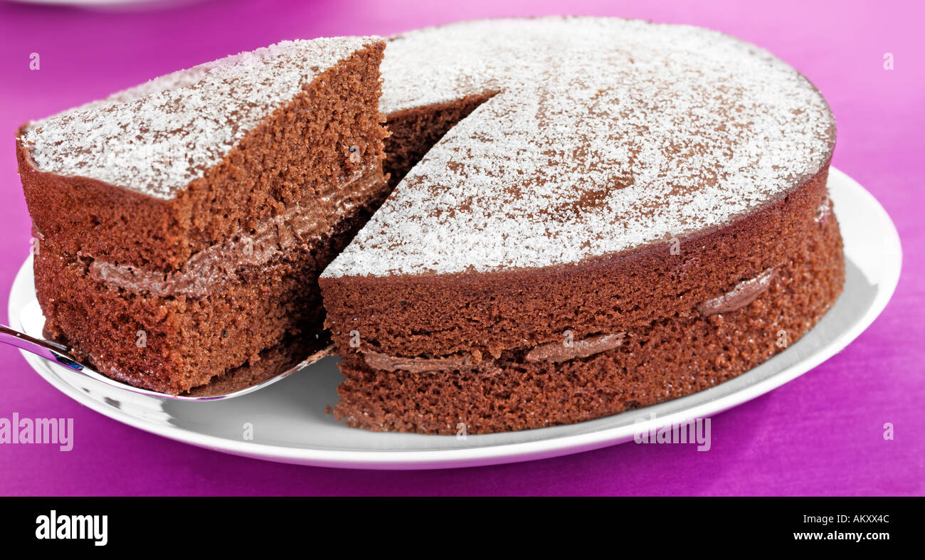 CHOCOLATE SPONGE CAKE Stock Photo - Alamy