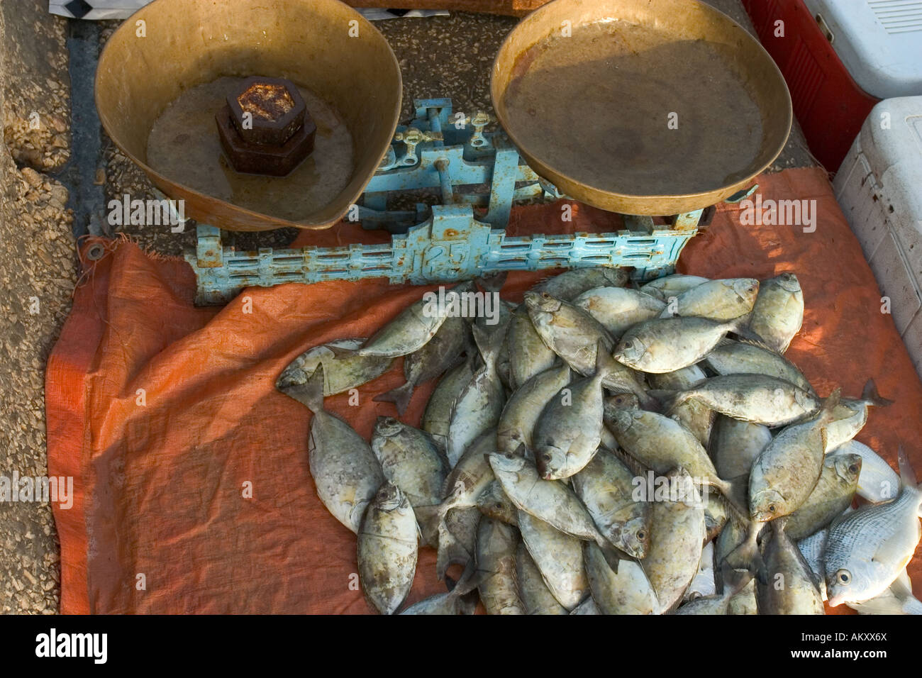 Qatar doha fish market hi-res stock photography and images - Alamy