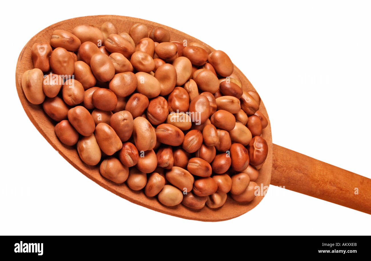 FOUL BEANS ON SPOON CUT OUT Stock Photo - Alamy