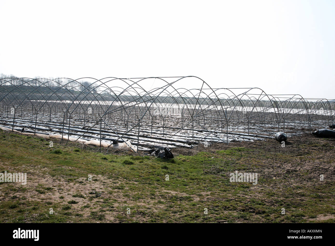 Preparing Poly Tunnels for growing crops 001 Stock Photo - Alamy