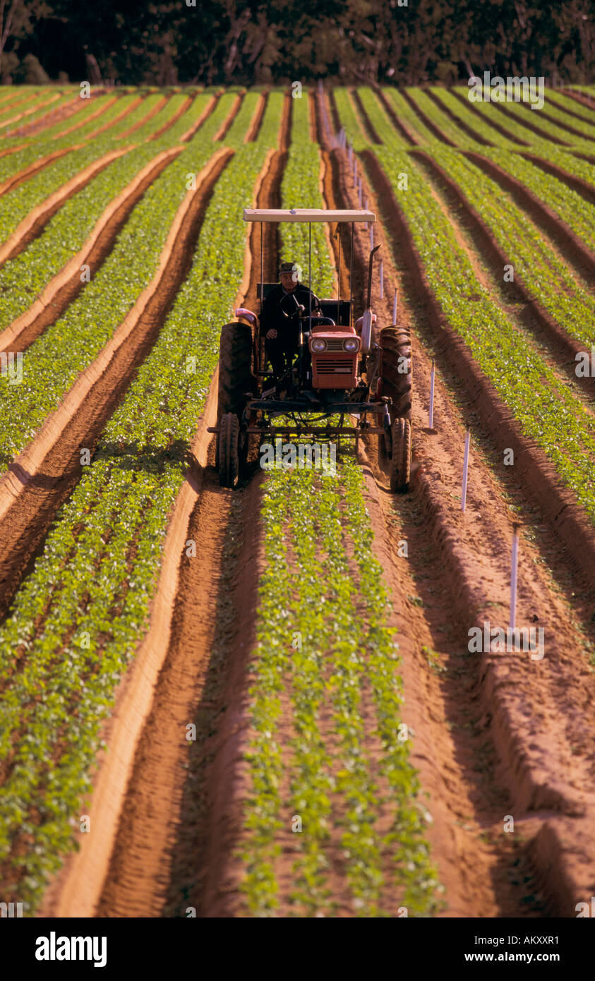 Tractor australia hi-res stock photography and images - Alamy