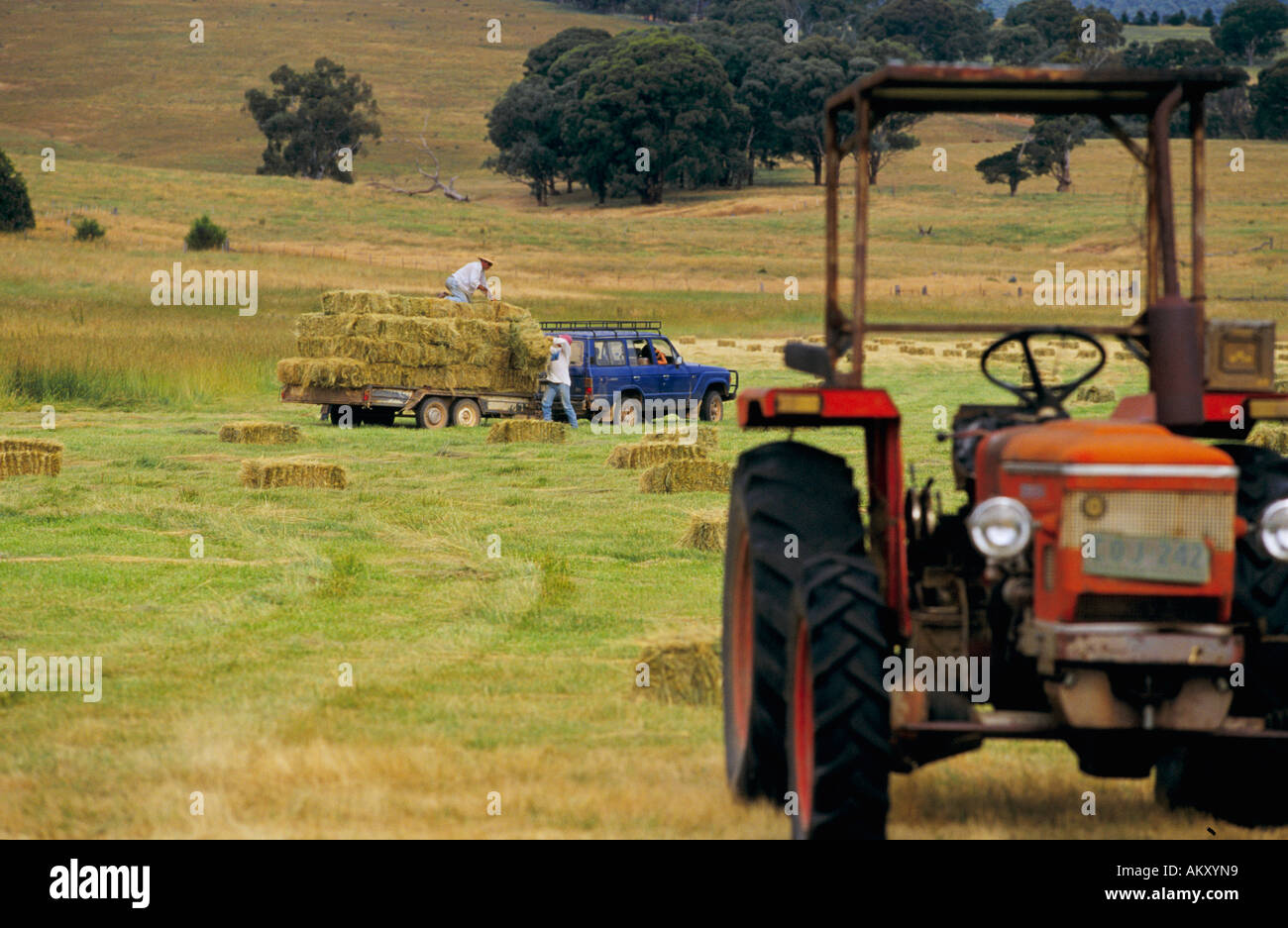 Baling hay, Victoria, Australia Stock Photo - Alamy