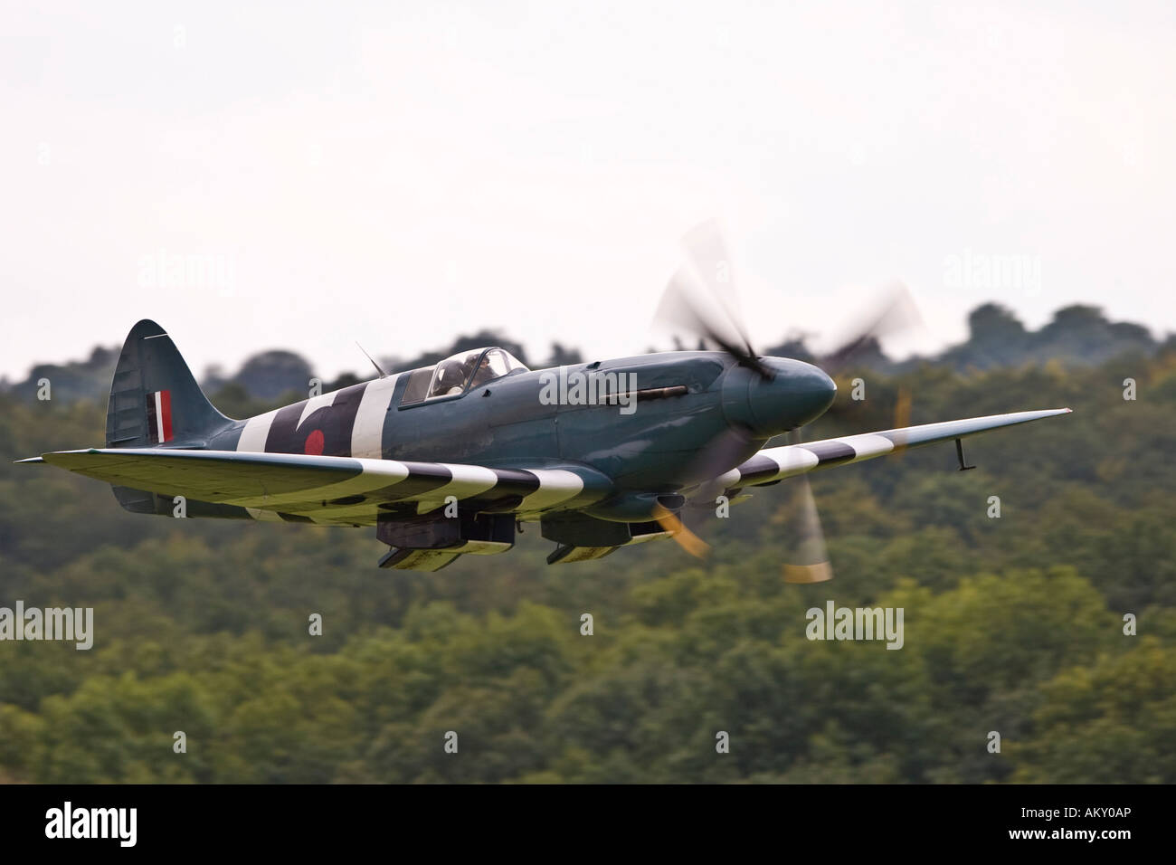 Spitfire MK XIX, Europe's big vintage aeroplane meeting on the ...