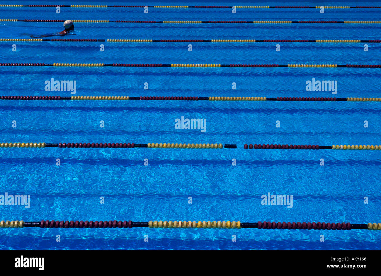 Swimmer in swimming Pool Stock Photo - Alamy