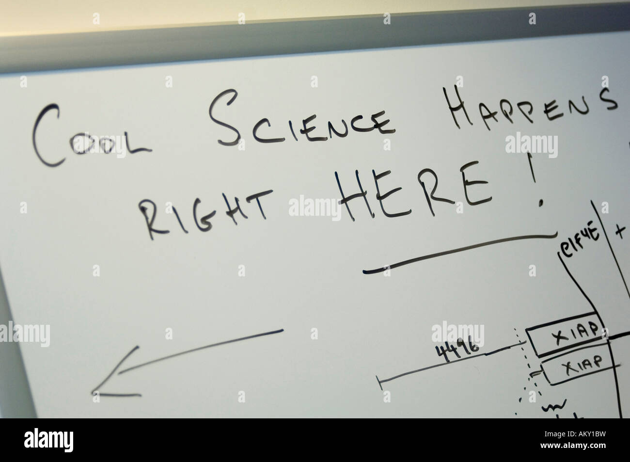 Cool science sign in research lab Stock Photo - Alamy