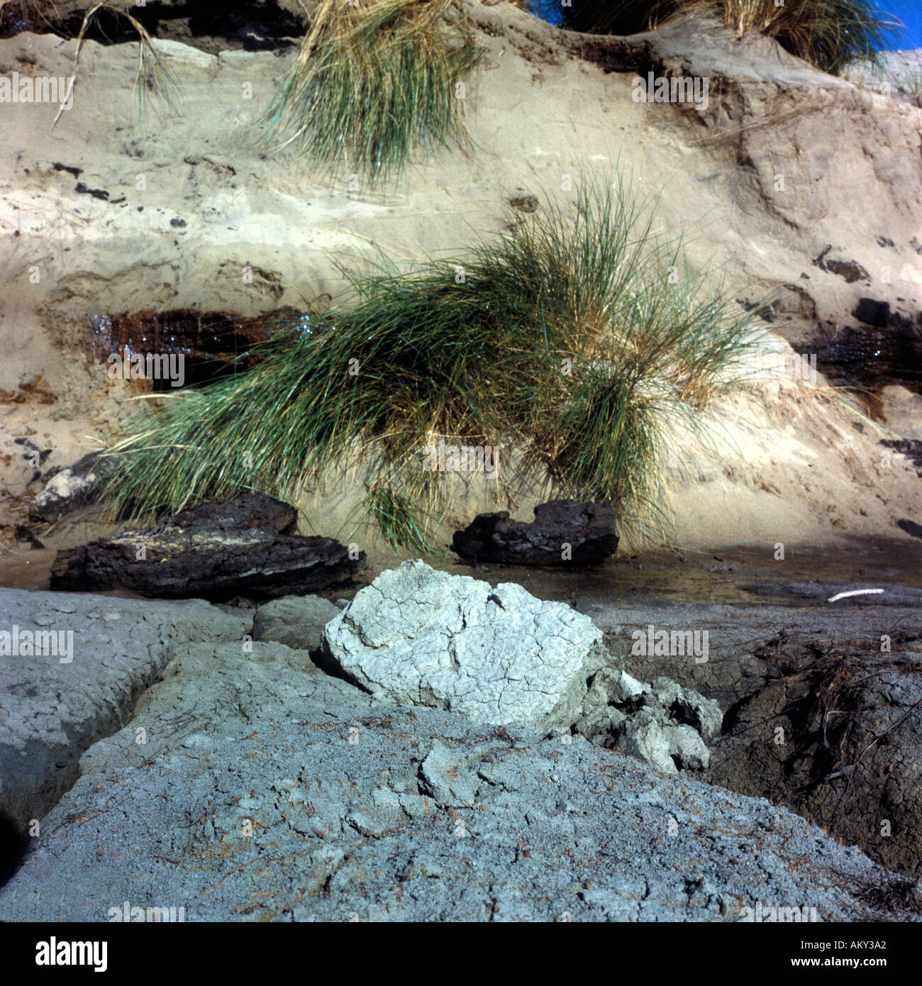 Clay reveal hi-res stock photography and images - Alamy