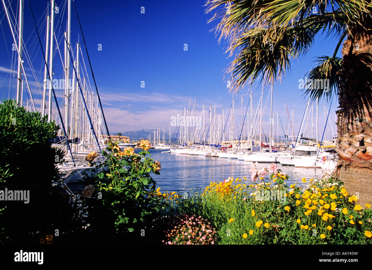 France, Var, Saint Cyr sur Mer, Calanque de Port d' Alon Stock Photo ...