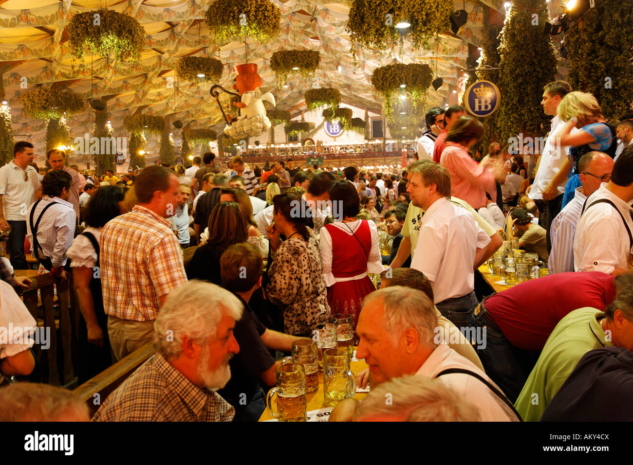 Hofbrauhaus munich hi-res stock photography and images - Alamy
