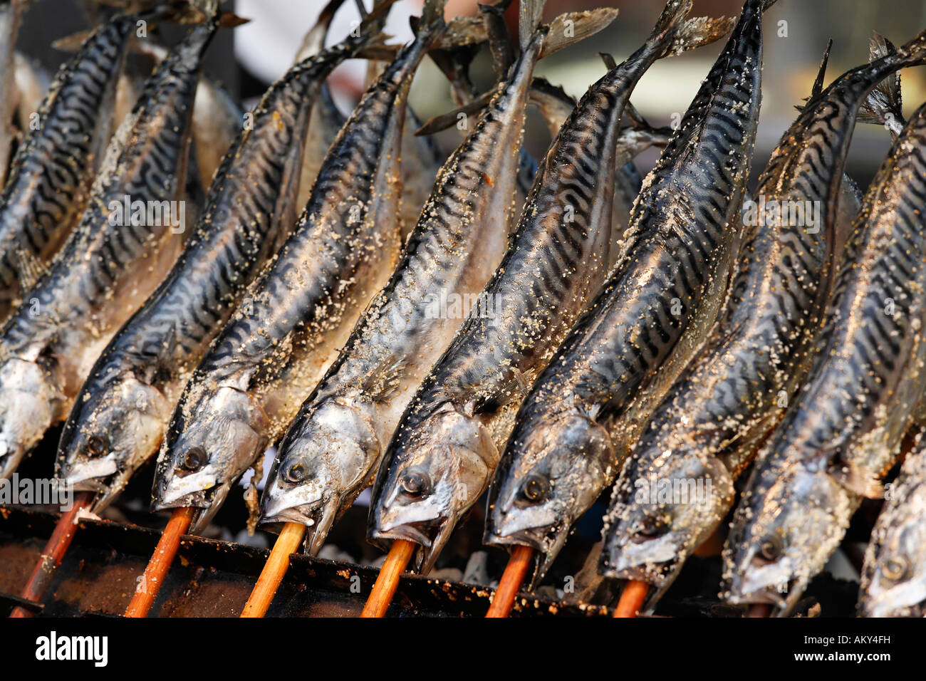 Smoked fish, Oktoberfest, Munich beer festival, Bavaria, Germany Stock ...