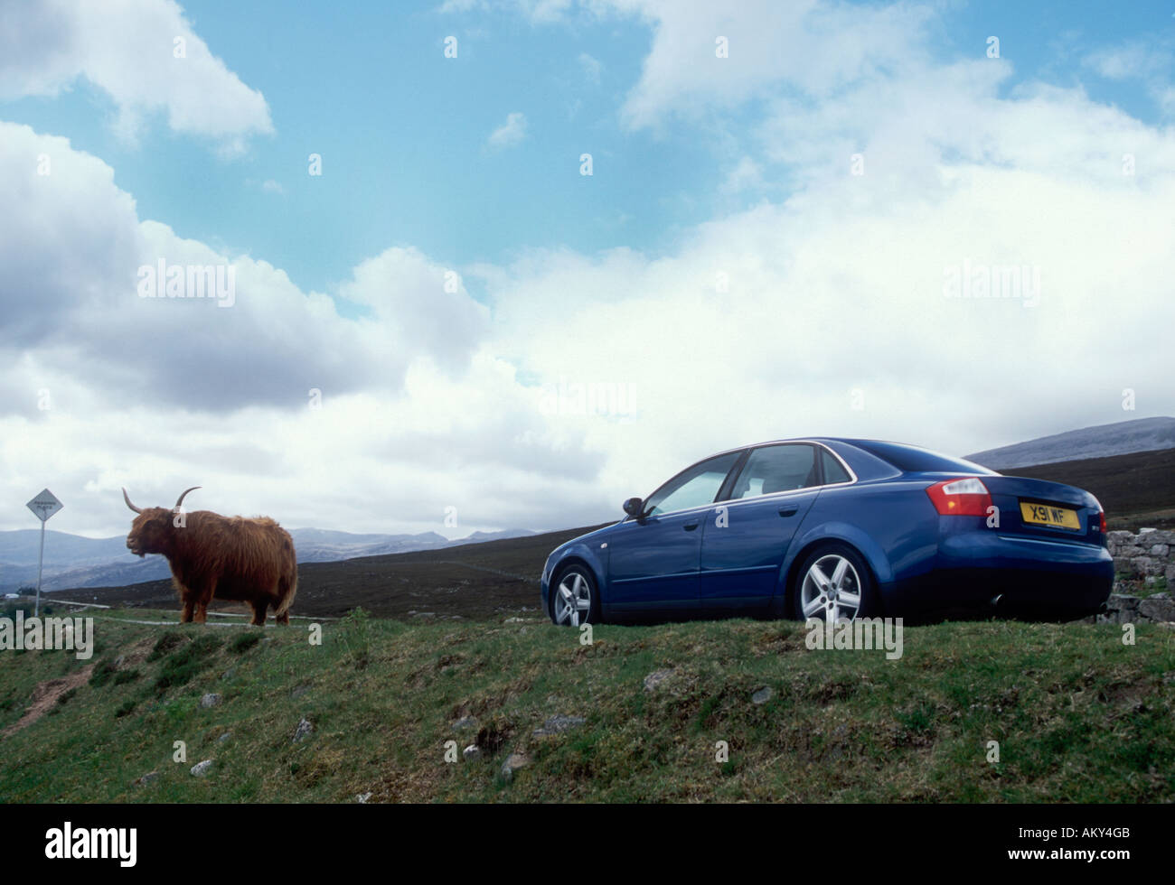 Highland cattle car hi-res stock photography and images - Alamy