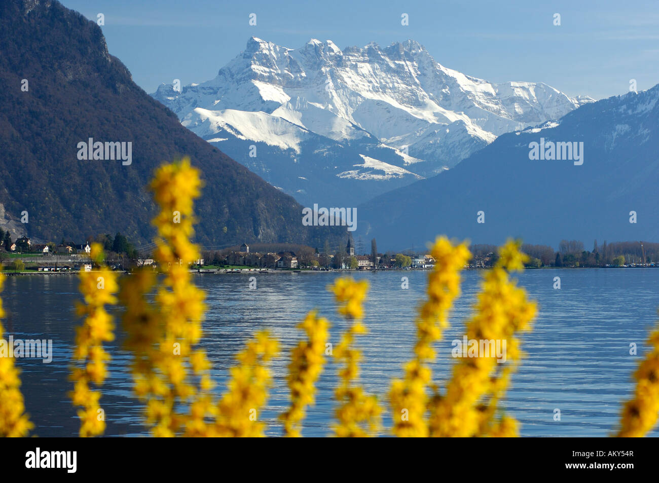 Springtime at Lake Geneva near Montreux, view of the peaks of Dents du ...